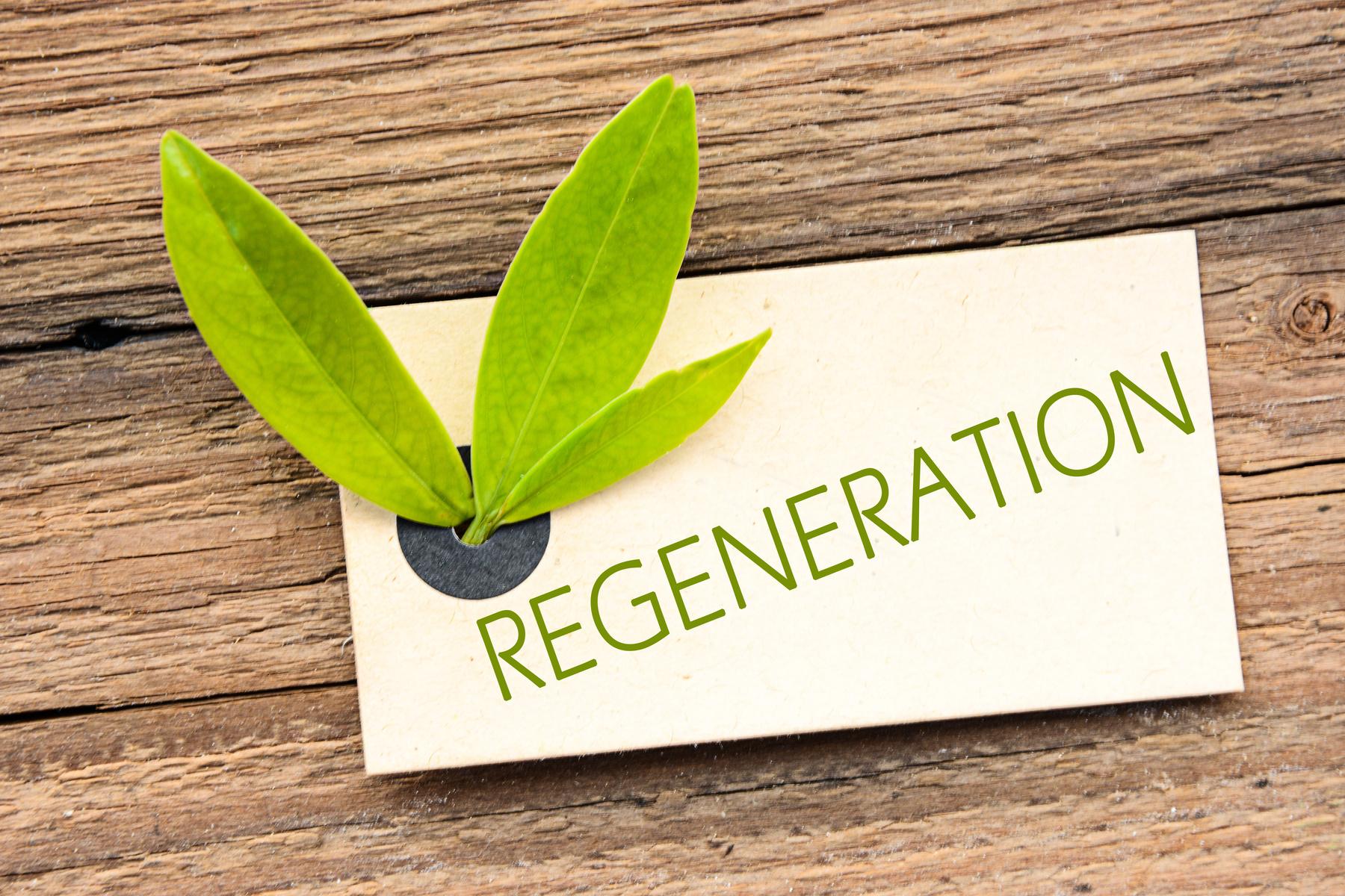 Warum Regeneration wichtig ist: Sportmediziner in Köln